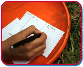 Test Your Reaction!: Instructions | AMNH