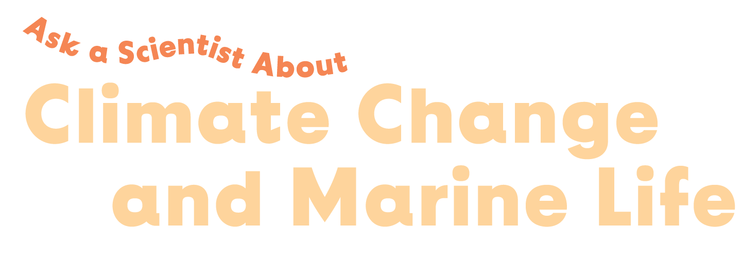 Ask a Scientist About Climate Change and Marine Life | AMNH
