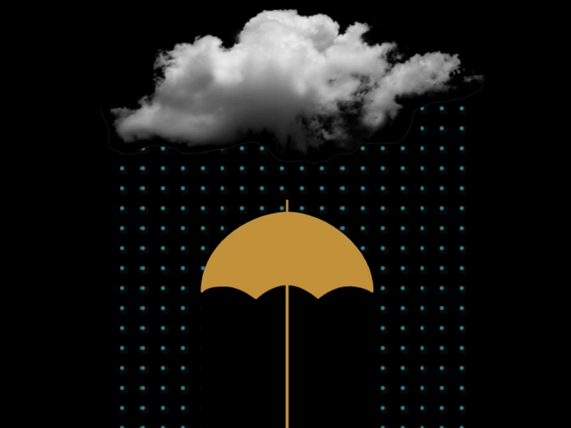 Take the Climate Quiz | AMNH