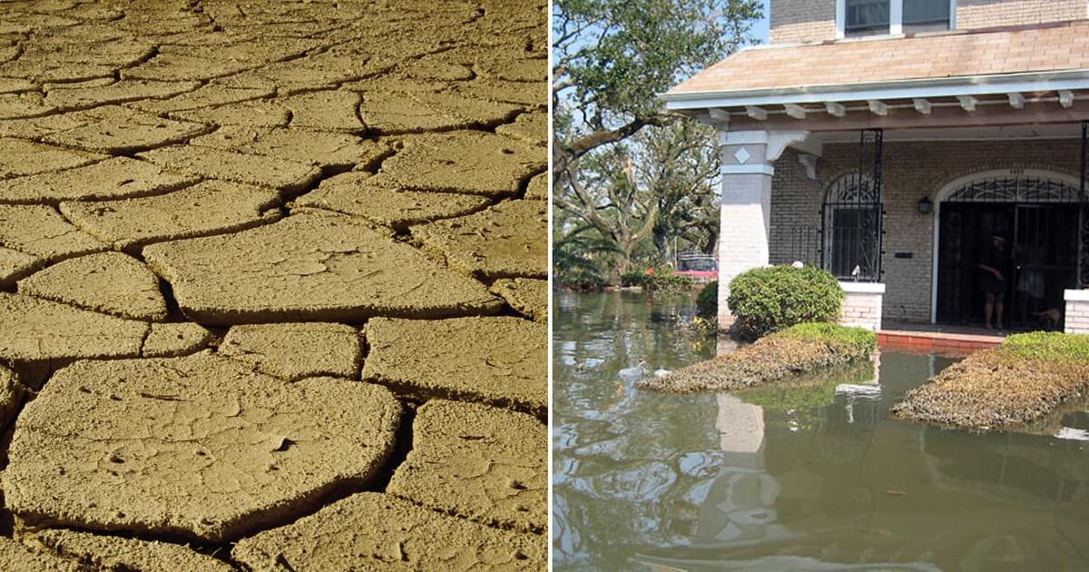 What is Climate Change? | AMNH
