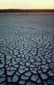 What will be the future of our planet? | AMNH