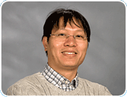 How Old Can Sea Turtles Live to Be? Endangered Animals | AMNH