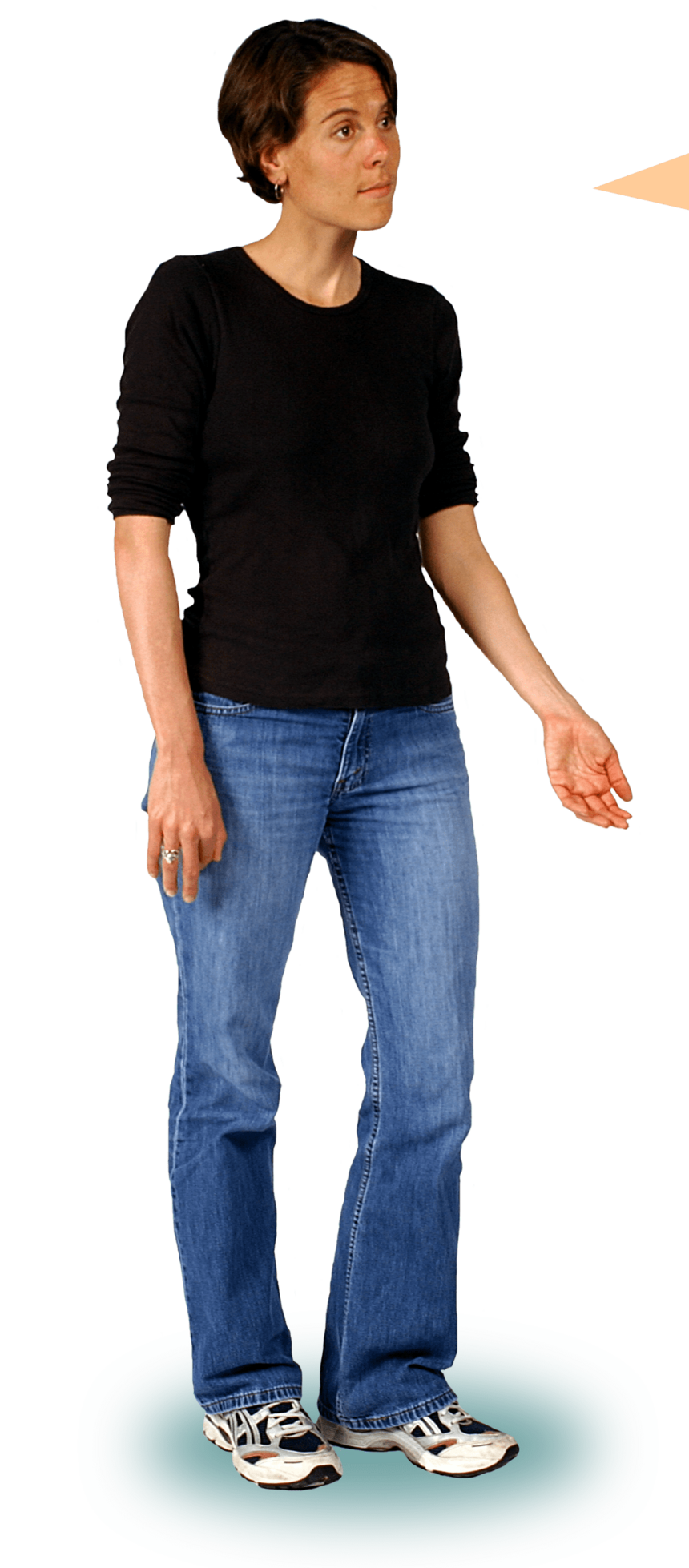 Deformed Conglomerate | AMNH