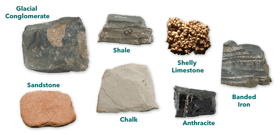 3 Types of Rock: Igneous, Sedimentary & Metamorphic | AMNH