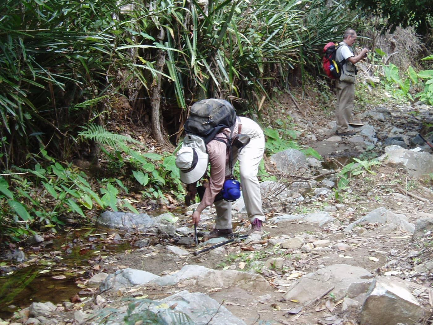 Hunting for Jade: On the Hunt in Guatemala | AMNH