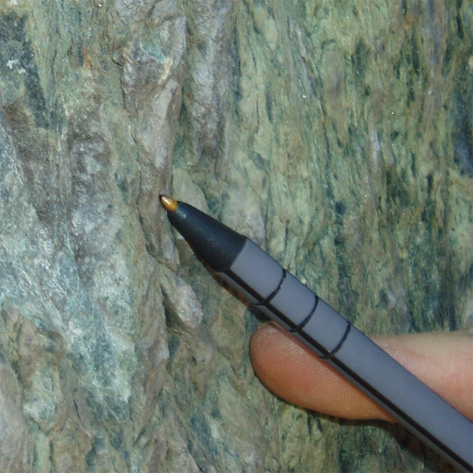 Hunting for Jade: On the Hunt in Guatemala | AMNH