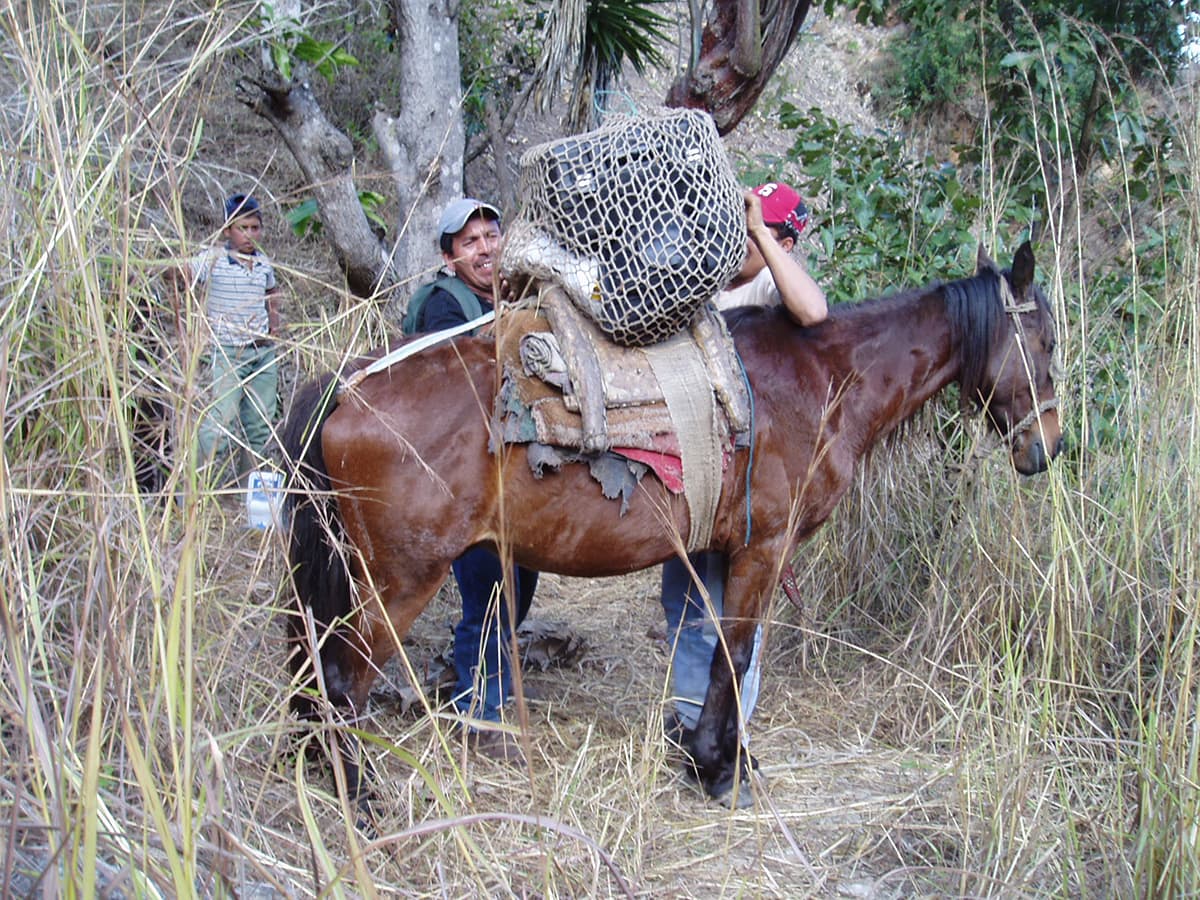 Hunting for Jade: Making Sense of Jade | AMNH