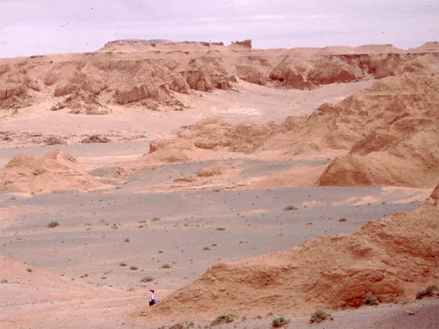 Make Your Own Weather Station | AMNH