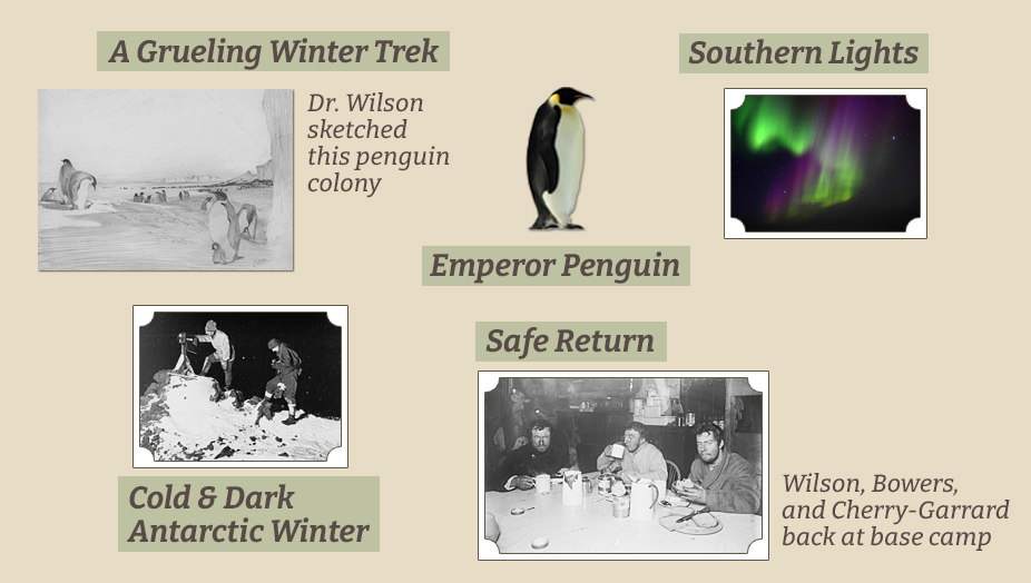 Winter Home: Quest for Penguin Eggs | AMNH