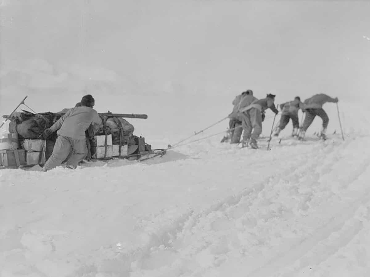To the Pole! The Long Journey Home | AMNH