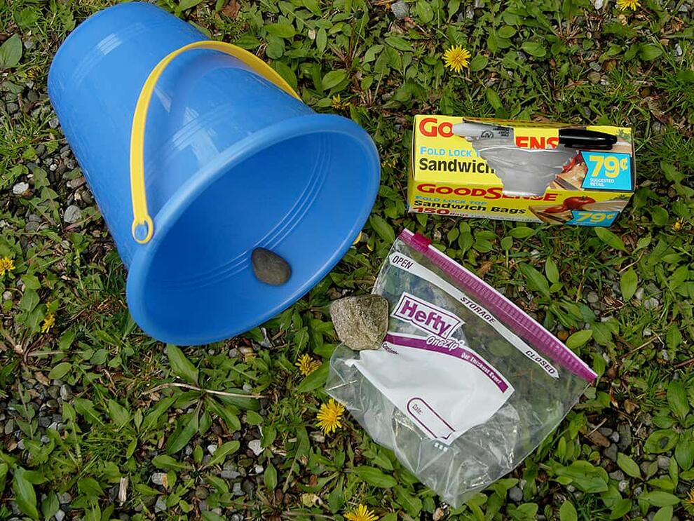 Start a Rock Collection | AMNH