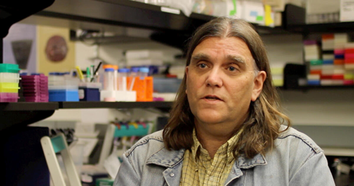 Ask A Scientist: Brain | AMNH