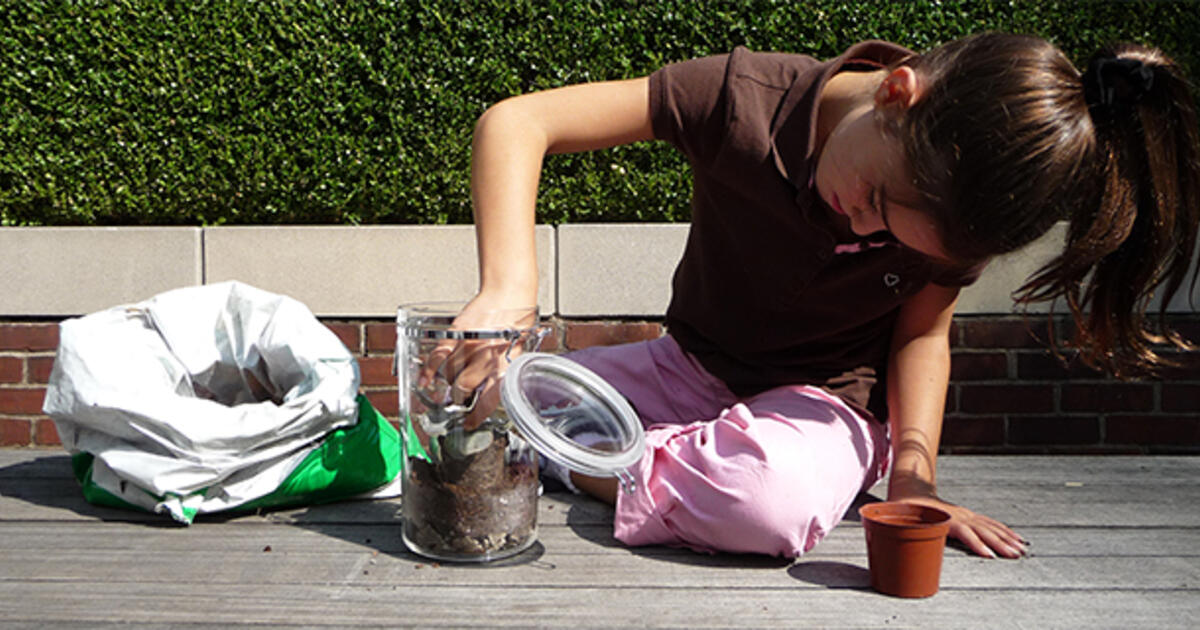 Make a Terrarium: Activity Instructions | AMNH