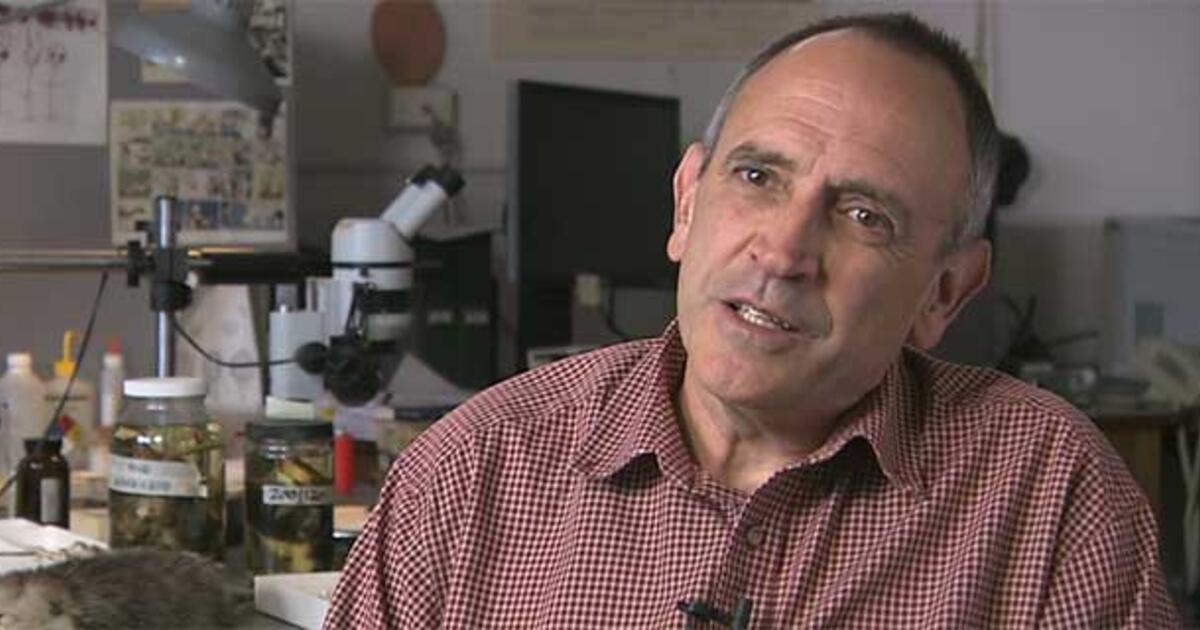 Meet the OLogist: Robert Voss | AMNH