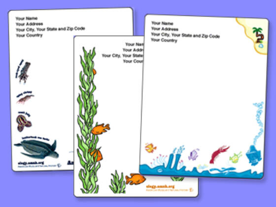 Marine Biology for Kids: OLogy | AMNH