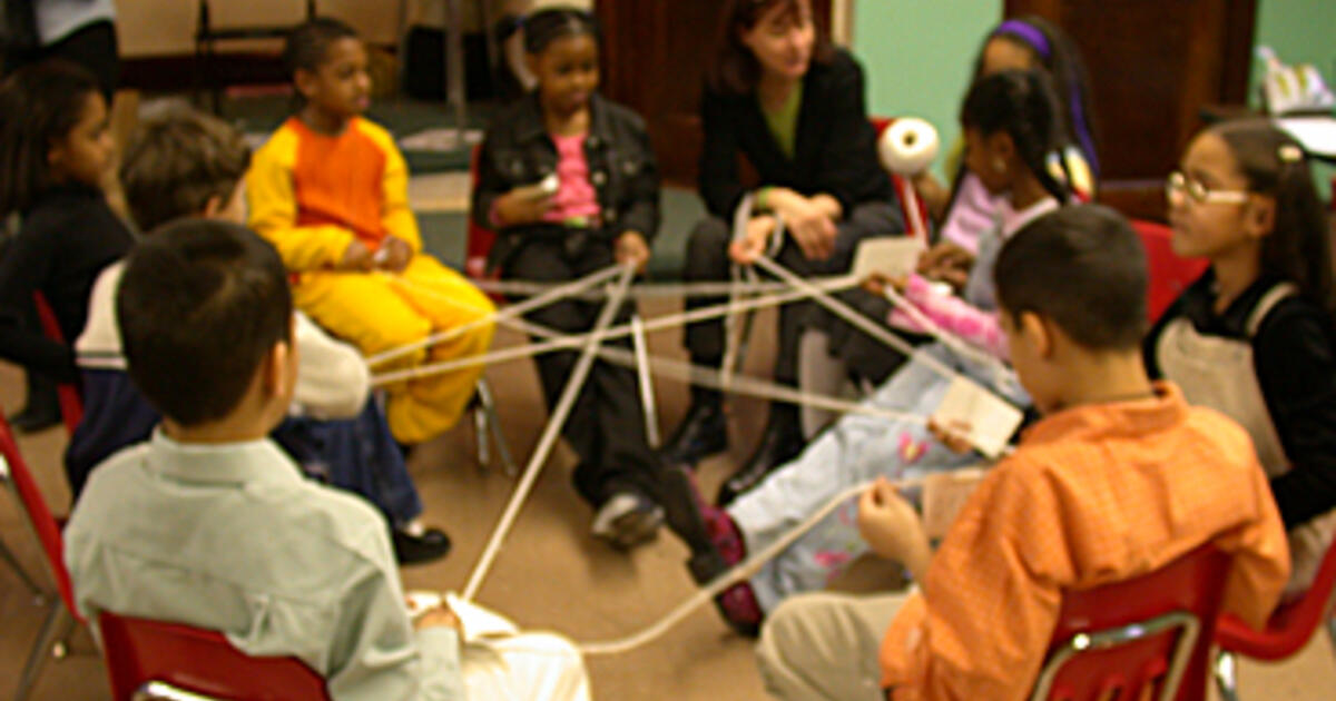 Web of Life: Activity Instructions | AMNH