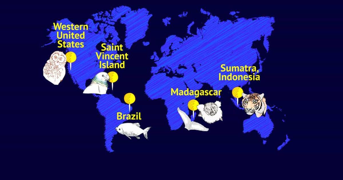 Around the World with DNA | AMNH