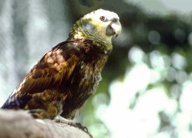 Around the World with DNA | AMNH