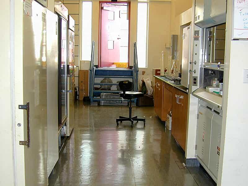 Being a Molecular Biologist: Rob DeSalle | AMNH