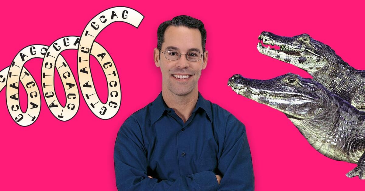 DNA Detective | AMNH