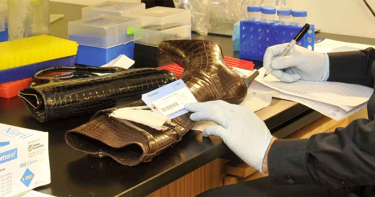 In Pictures: CSI with DNA | AMNH