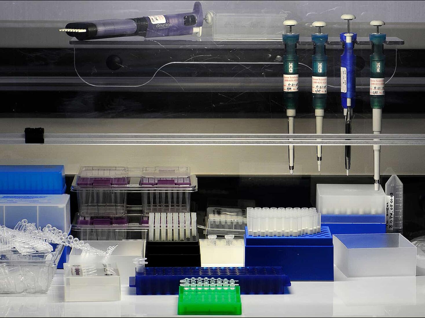 In Pictures: CSI with DNA | AMNH