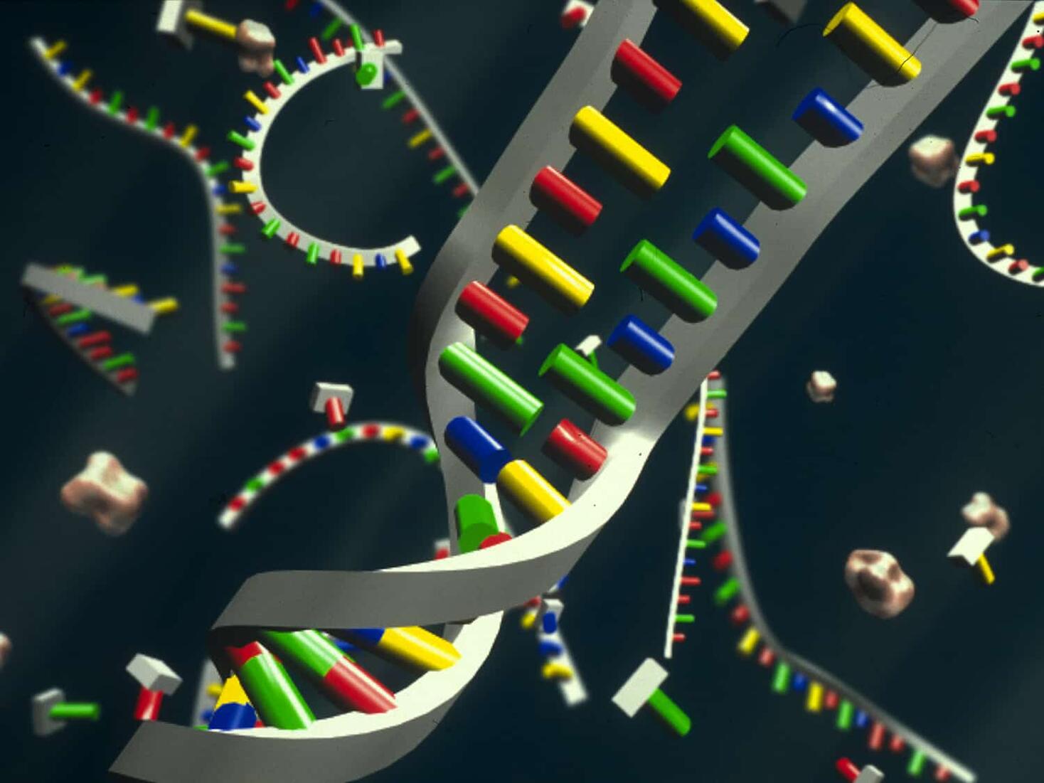 In Pictures: CSI with DNA | AMNH