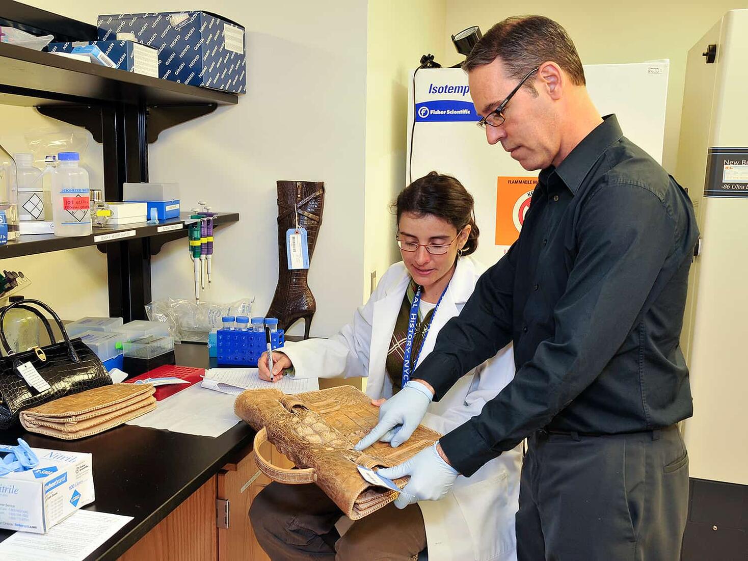 In Pictures: CSI with DNA | AMNH