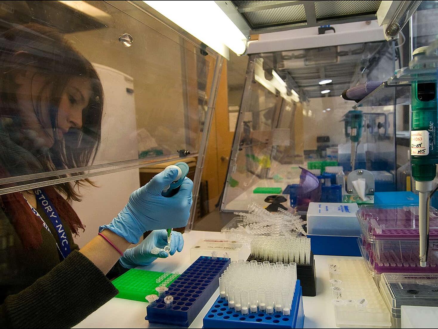 In Pictures: CSI with DNA | AMNH