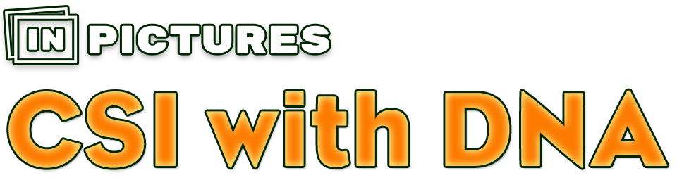 In Pictures: CSI with DNA | AMNH