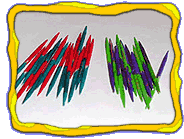 Make a DNA Model | AMNH