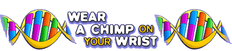 Wear a Chimp on Your Wrist | AMNH