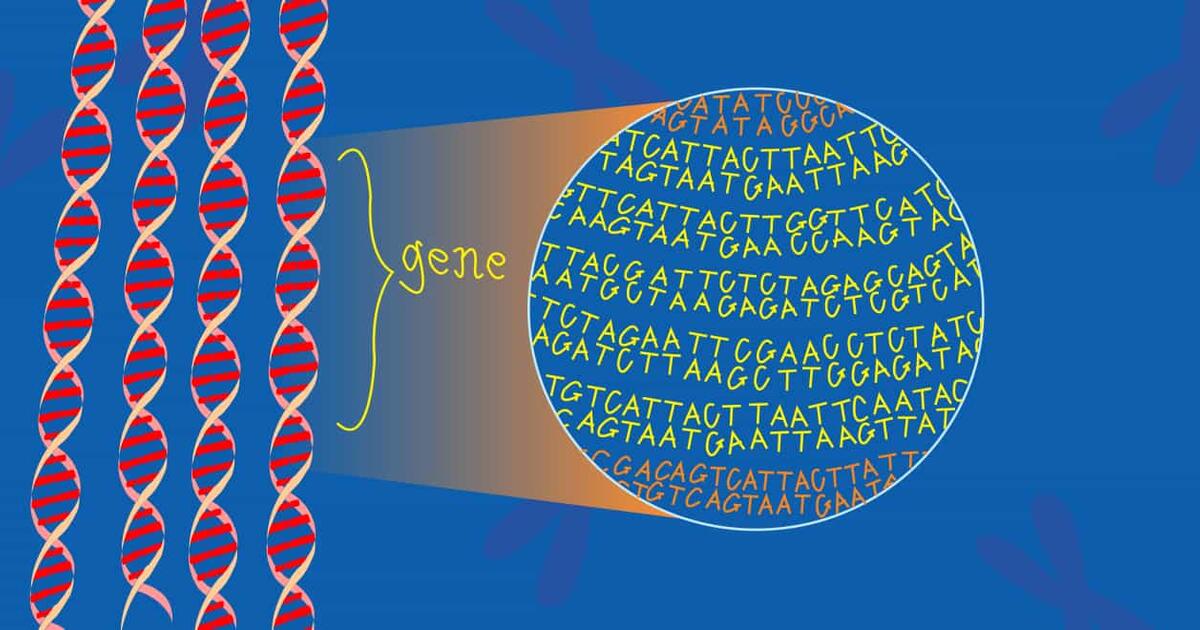 What Do You Know About Genetics? | AMNH