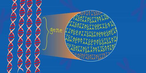 OLogy: Science Website for Kids | American Museum of Natural History