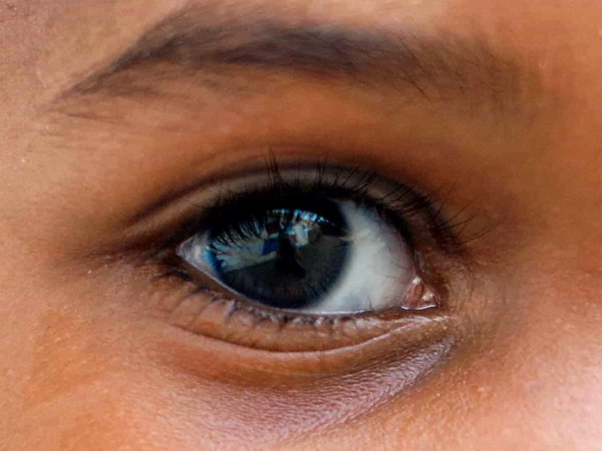 What is Genetics? | AMNH