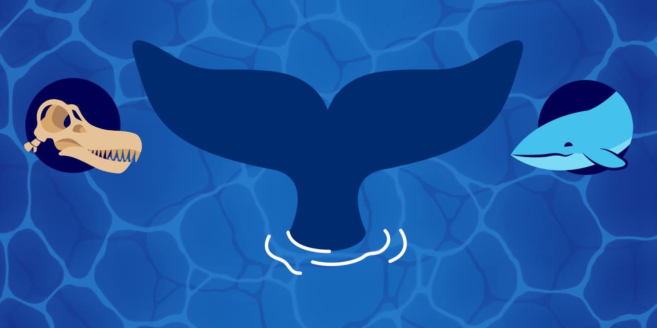 OLogy: a Science Website for Kids | American Museum of Natural History