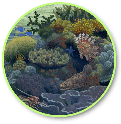 Dive Into Worlds Within the Sea | AMNH