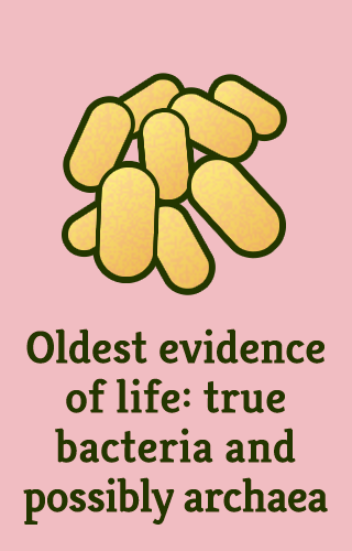 What Do You Know About Life on Earth? | AMNH