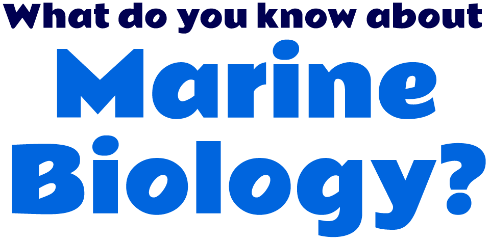 What Do You Know About Marine Biology? | AMNH