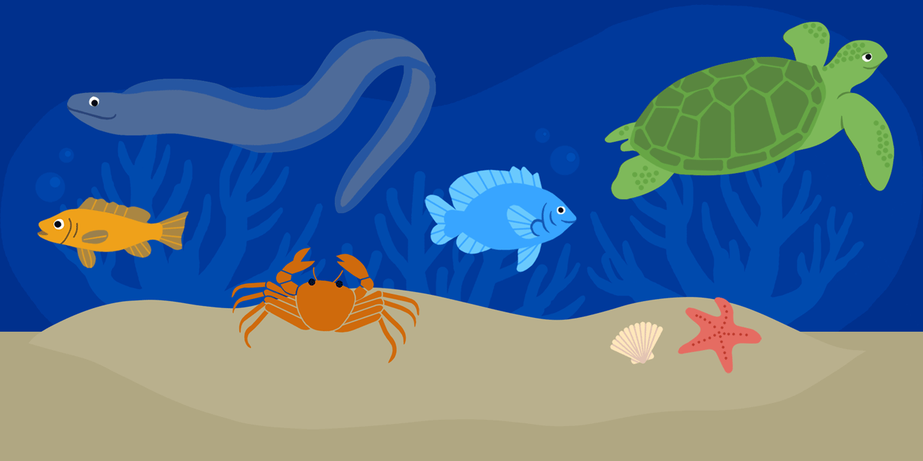 Marine Biology for Kids: OLogy | AMNH