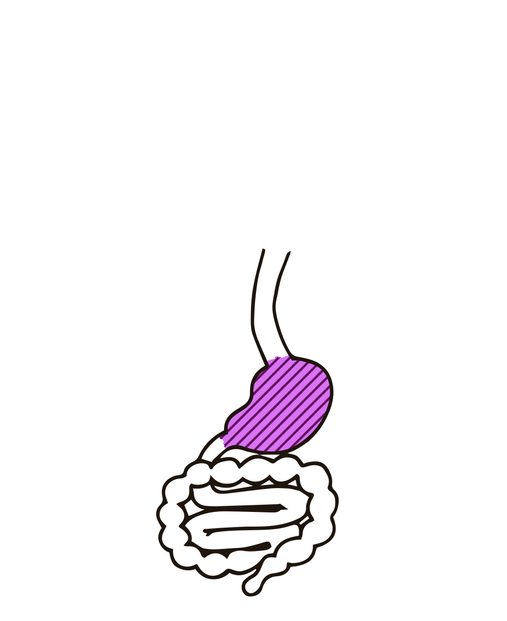 Make a Home for Microbes | AMNH