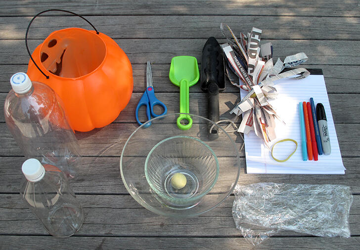 Make a Home for Microbes | AMNH