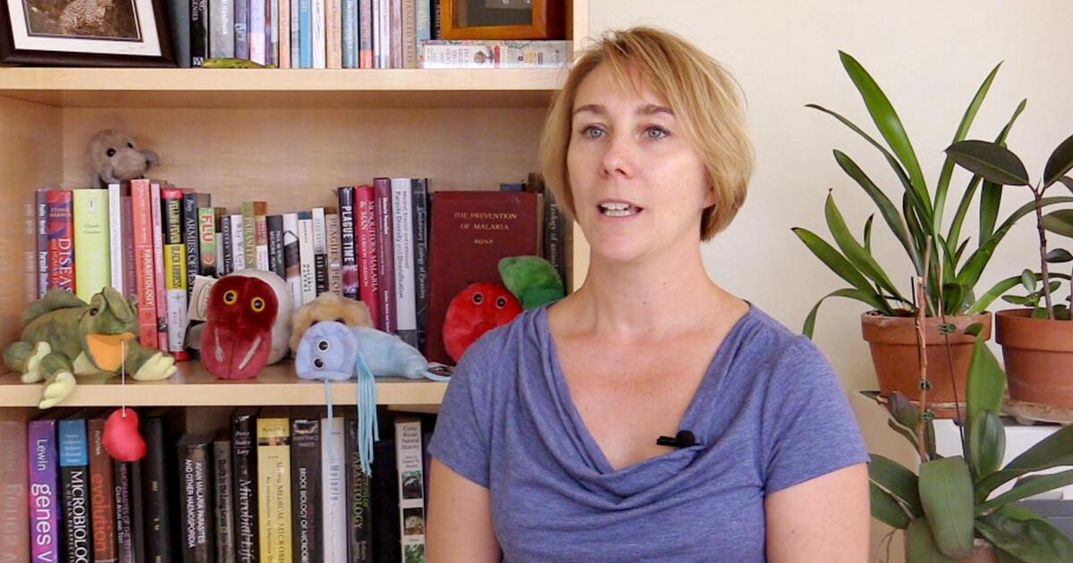 Meet the OLogist: Susan Perkins | AMNH