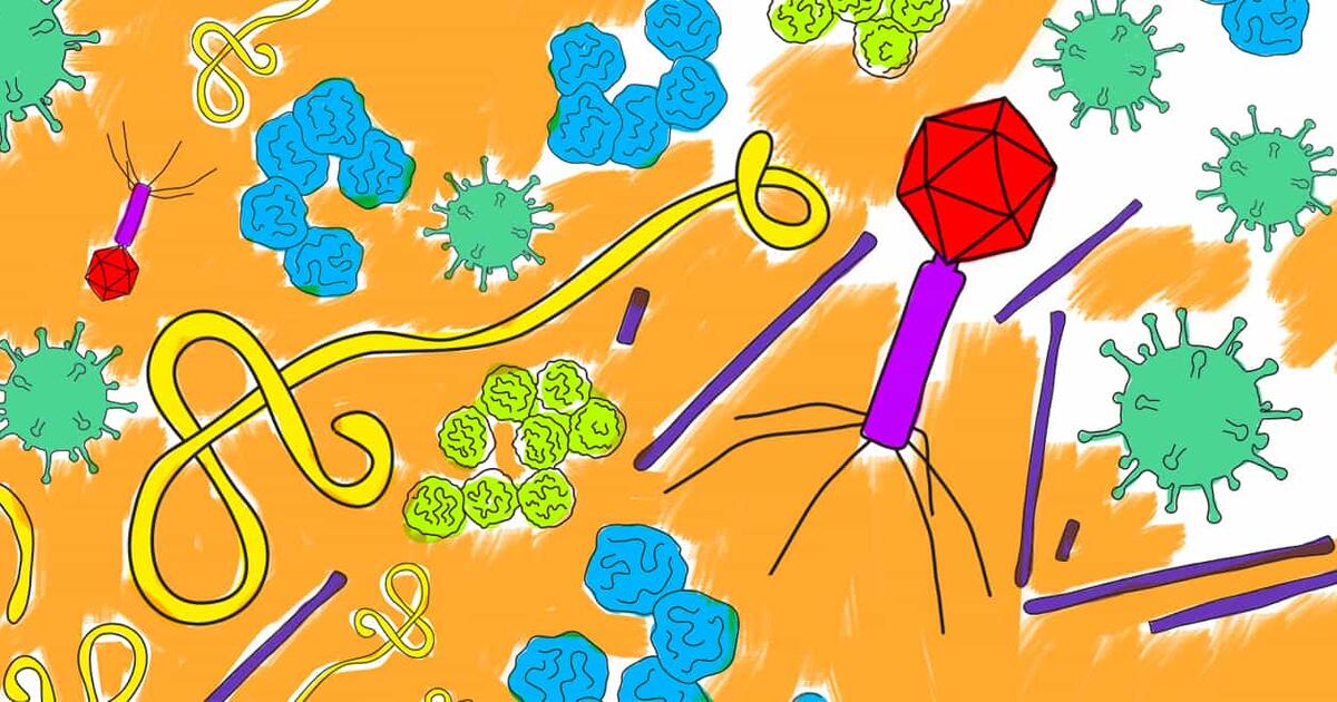 microbiology coloring book