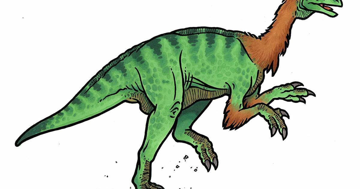 Alxasaurus elesitaiensis | AMNH