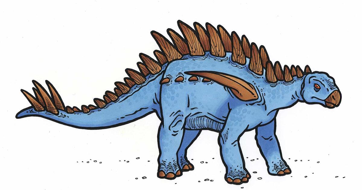 Huayangosaurus taibaii | AMNH