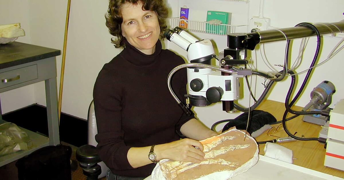 amy davidson interview