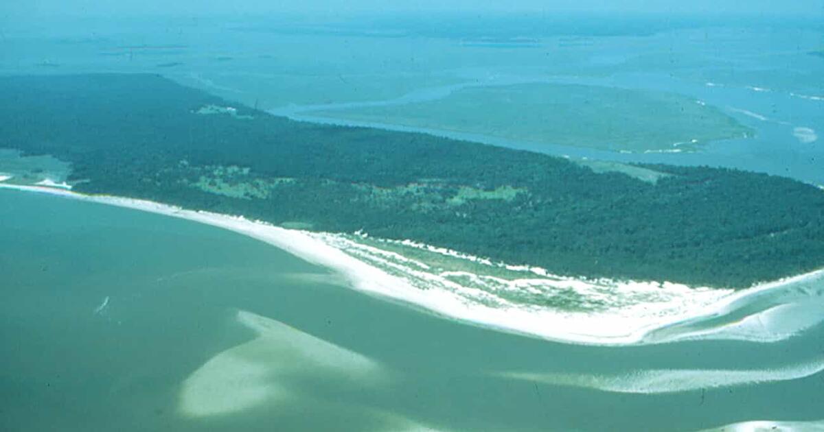 St. Catherines Island | AMNH