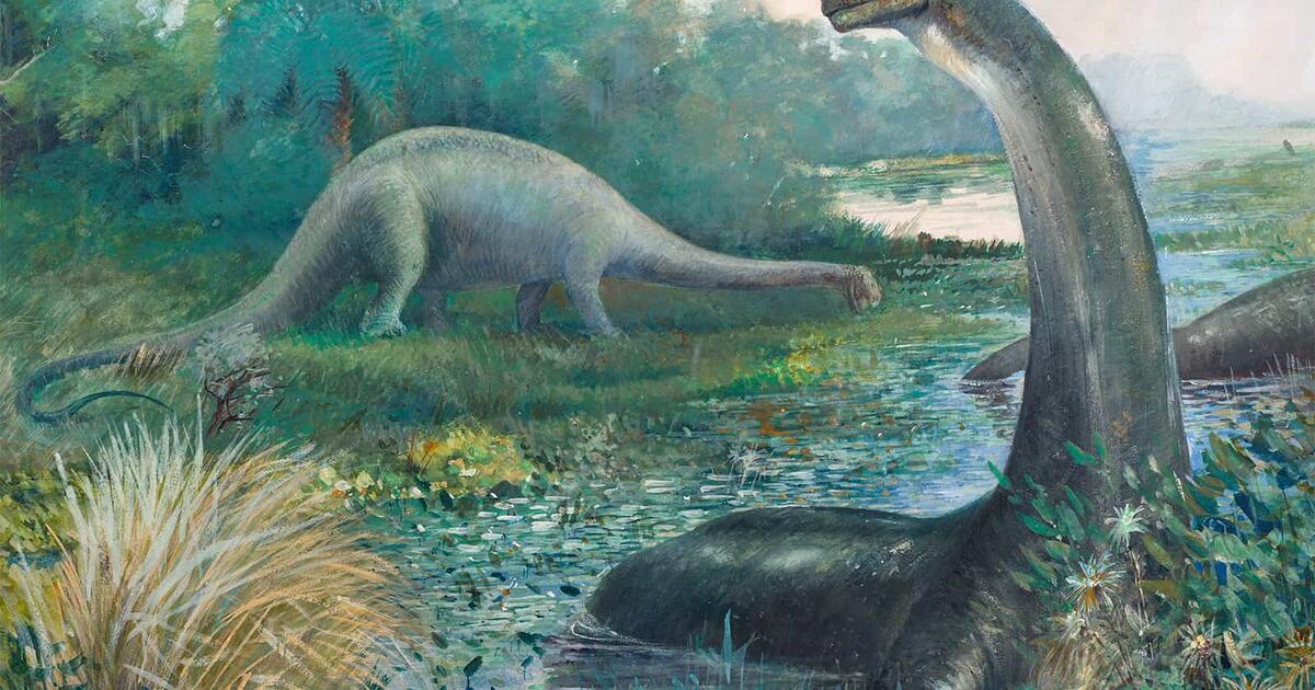 Jurassic Period | AMNH