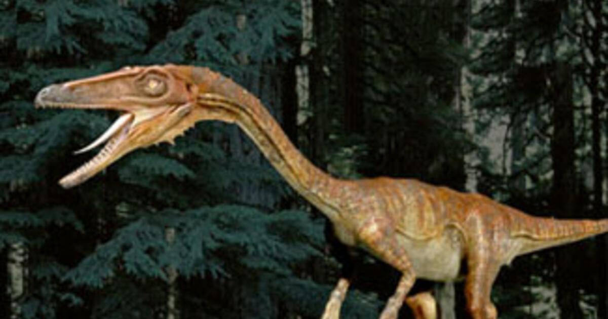 Triassic Period | AMNH